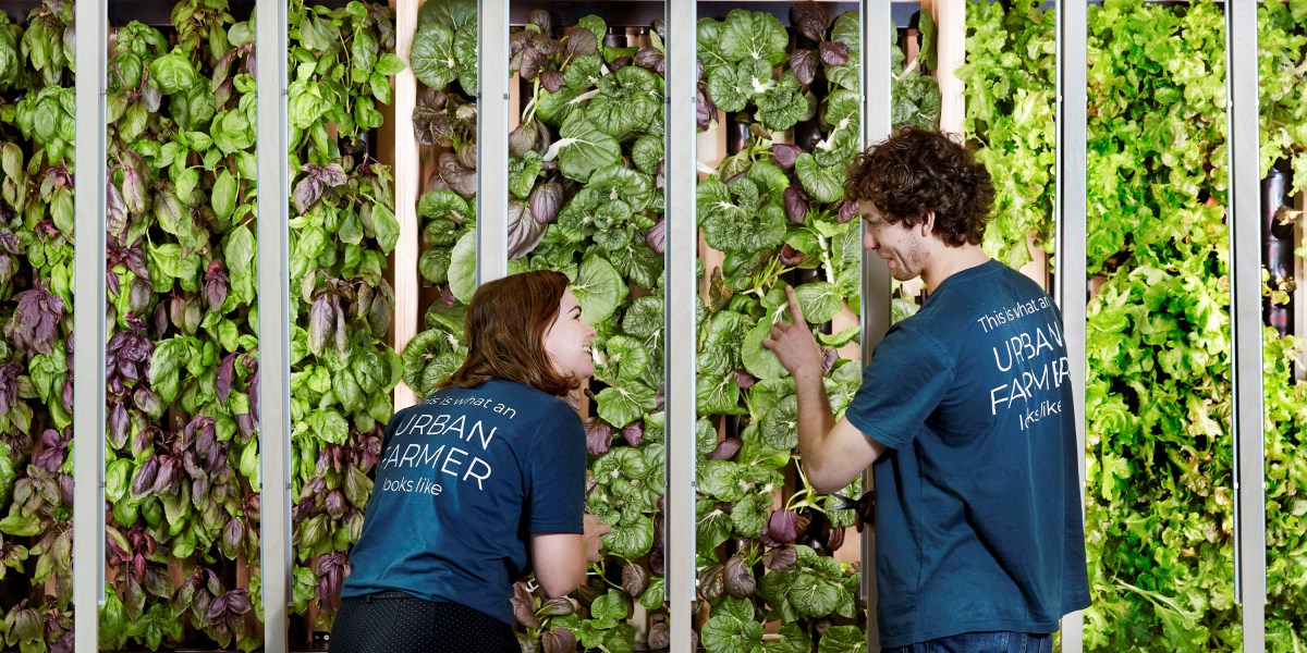 Compass introduces urban farm to its HQ
